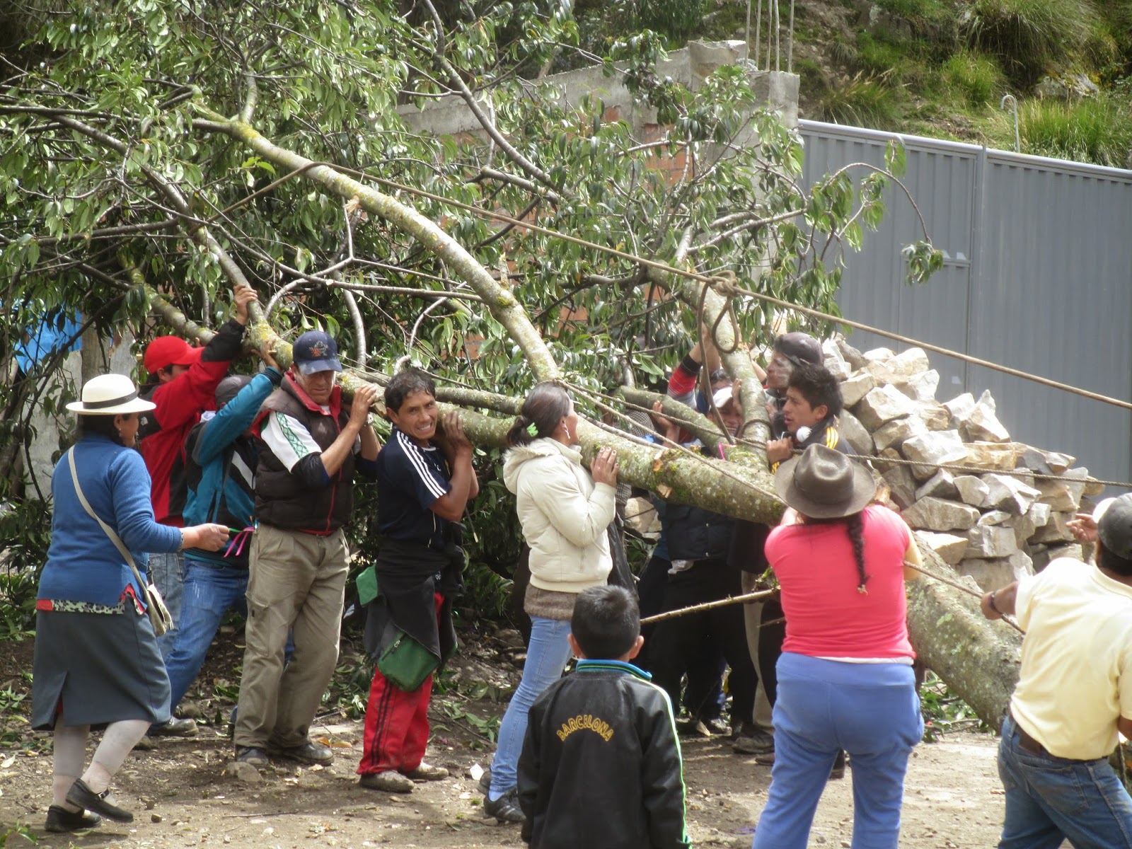Munay (Love & Beauty): Stories of Life in Peru: Yunza: Tree Dancing