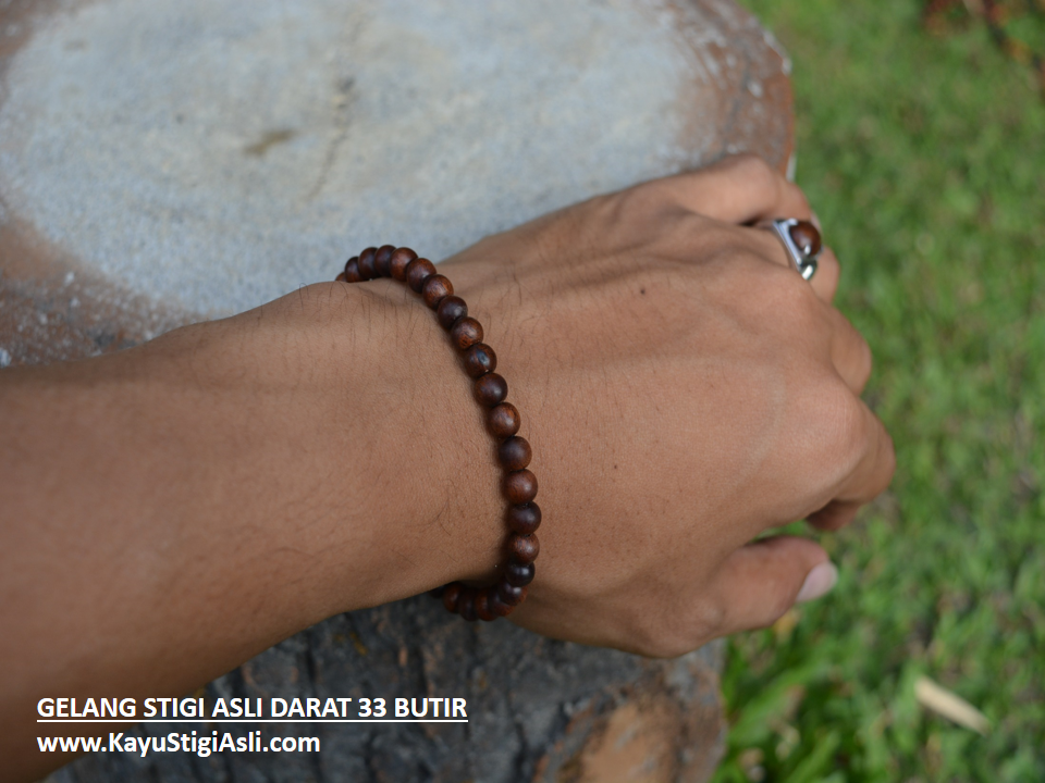 Kayu Stigi Laut Asli, Kayu Stigi Darat, Gelang Stigi Asli