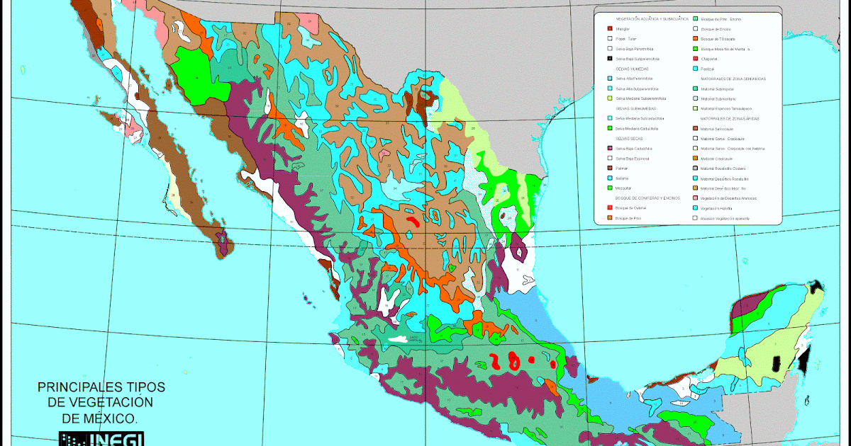 Ecosistemas De México: Tipos Y Sus Características – PJBZT