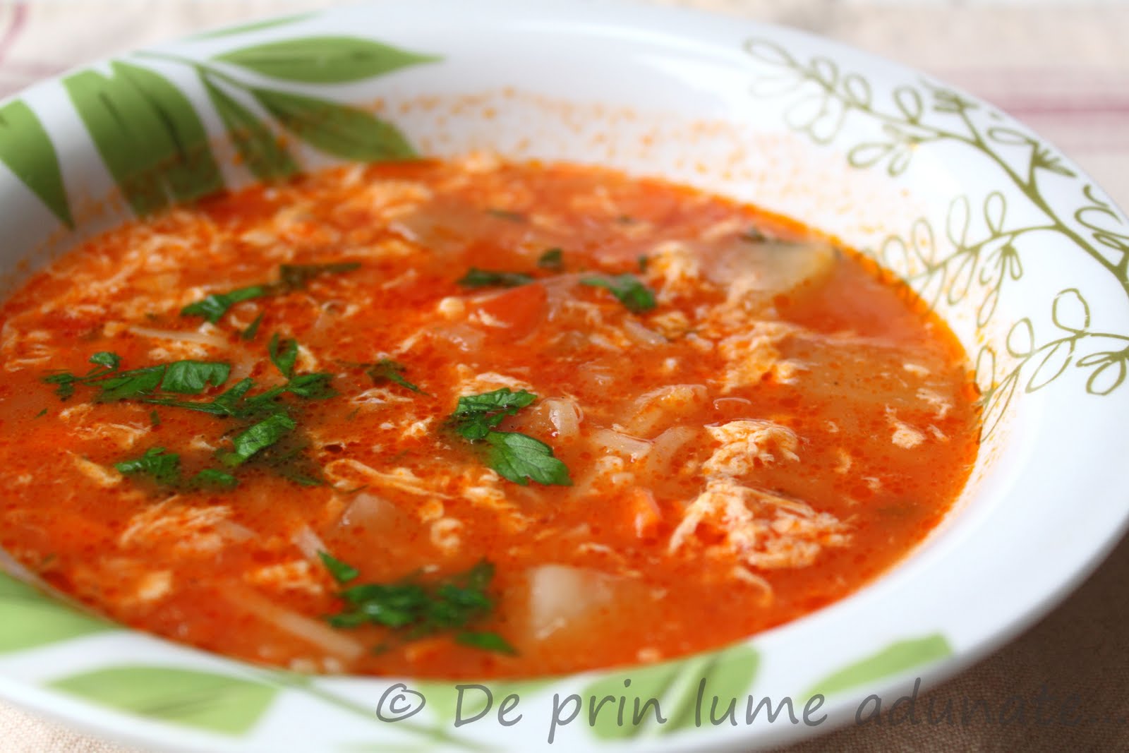 De prin lume adunate...: Ciorba romaneasca de rosii/ Romanian tomato soup