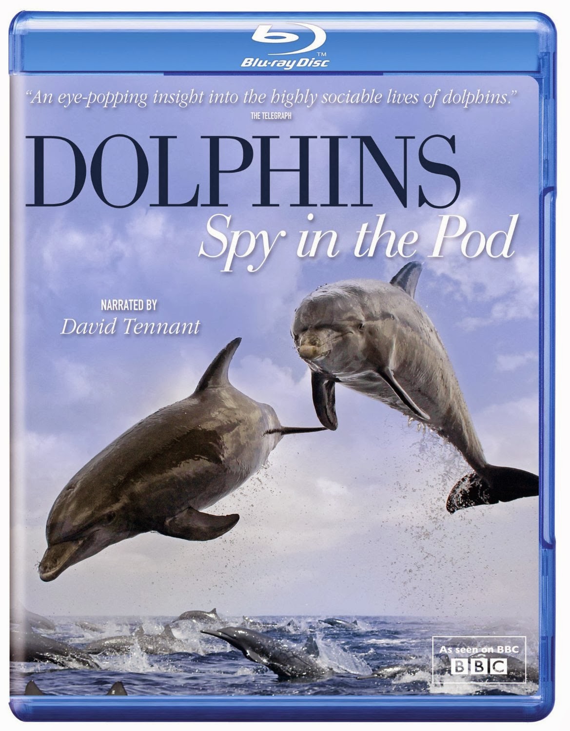 Madhouse Family Reviews: DVD review : Dolphins - Spy In The Pod