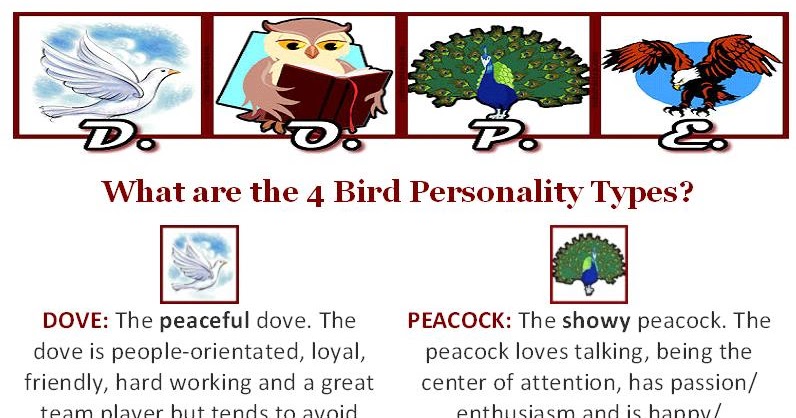 Room 14 and Mr Brown at Gleniti School: Week 3 Term 2 2012