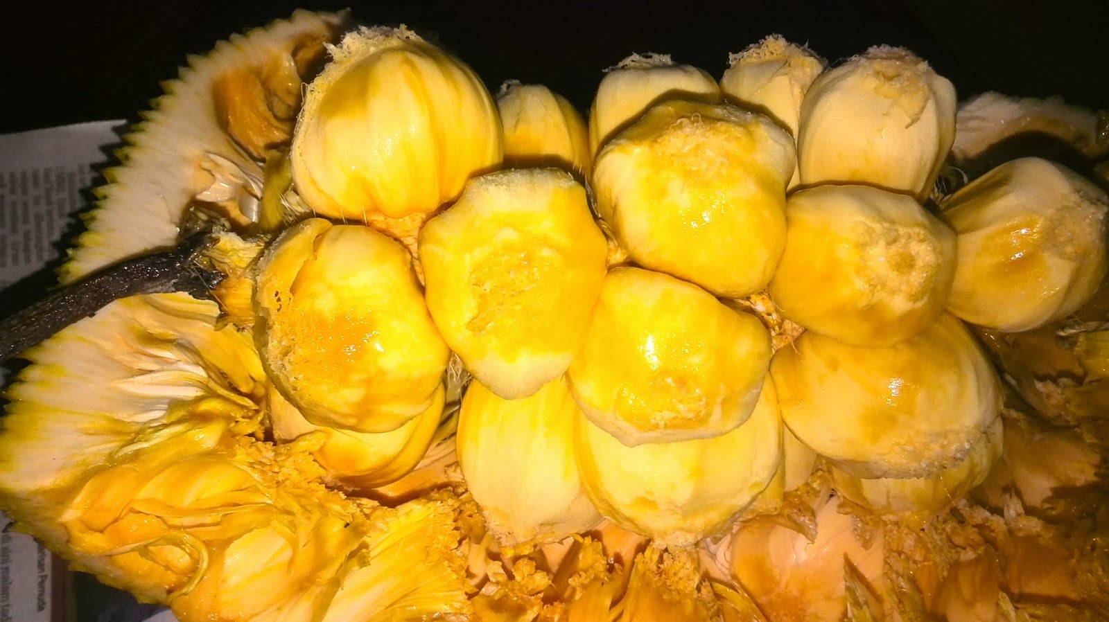 namakucella: BIJI CEMPEDAK REBUS - MAKANAN NOSTALGIA