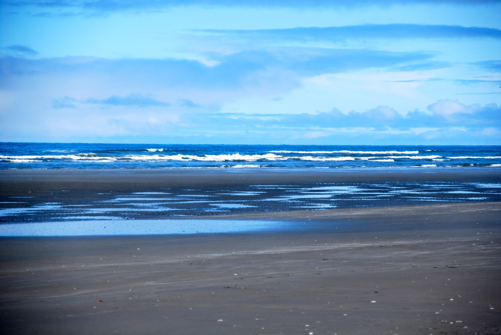 Wanderlust Traveler: Pacific Beach, Washington (Lodging, Dining, and ...