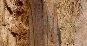 Sculptures that contrast carved areas with uncarved surfaces; The Idea ...