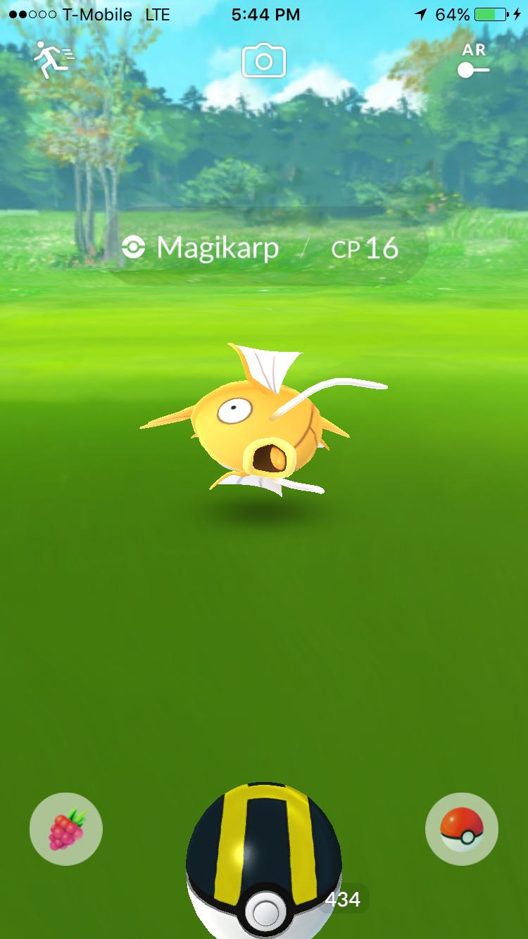 How I Caught Lots of Shiny Magikarp in Pokemon GO Really Fast | Yhan Game