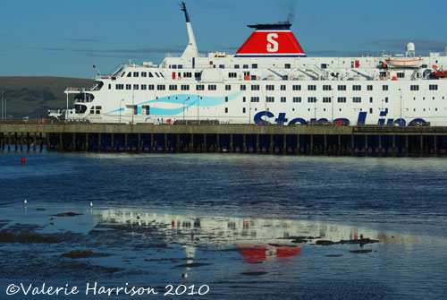 Keepers Cottage Wildlife Garden Diary: Birds & Boats Stranraer Harbour ...