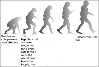 Head Truth: Why We Do Not Understand the Origin of Complex Biological ...