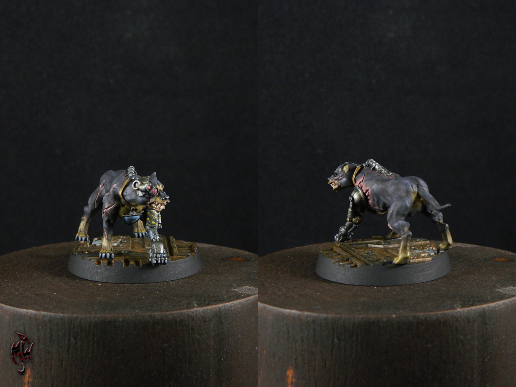 Ancient Plot: Slate Merdena and Macula