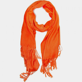 Clemson Girl: Baby it's cold outside - the perfect scarves for a ...