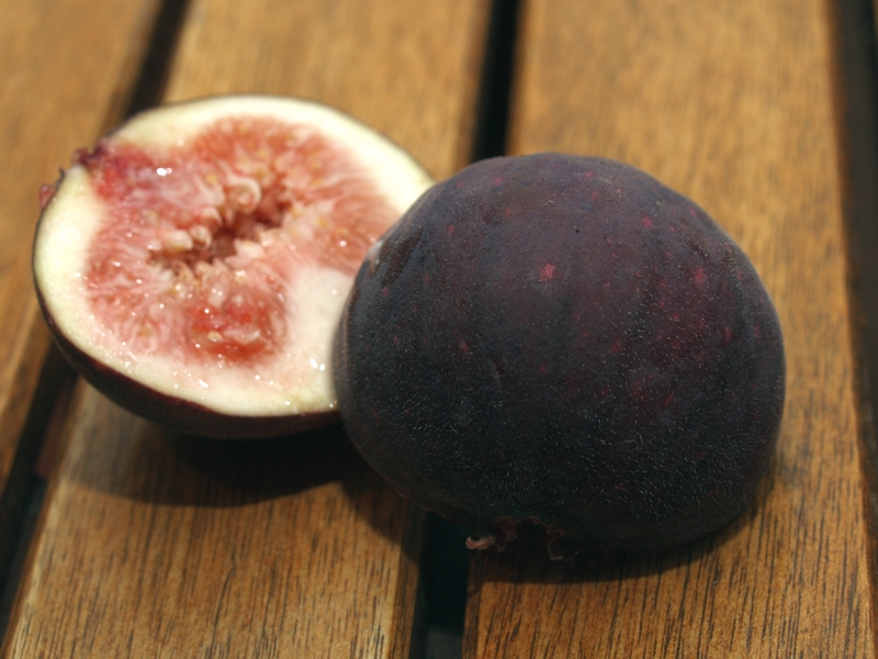 Israel Fig - Var Tin