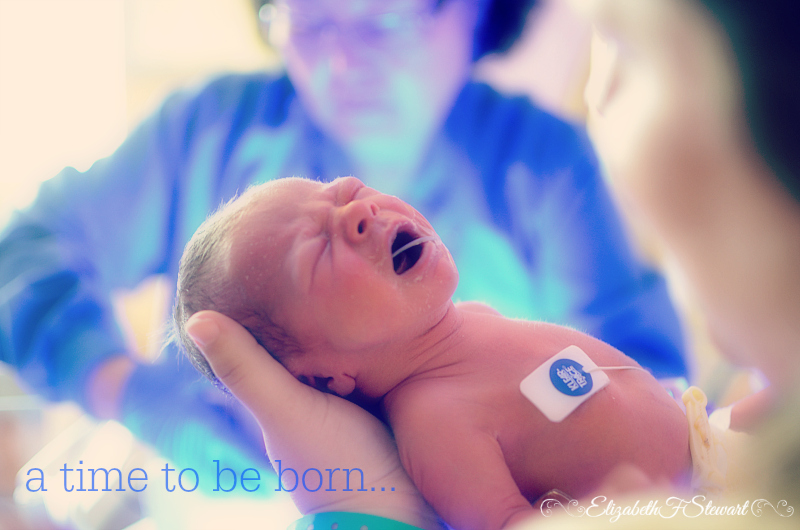 Just following Jesus in my real life...: A time to be born...