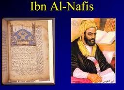 Pakar Darah Islam 'Ibn Nafis'