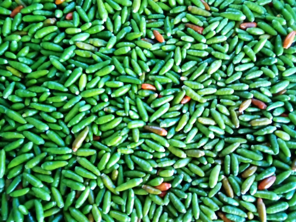 Piments des îles: Piment Oiseau ou Martin