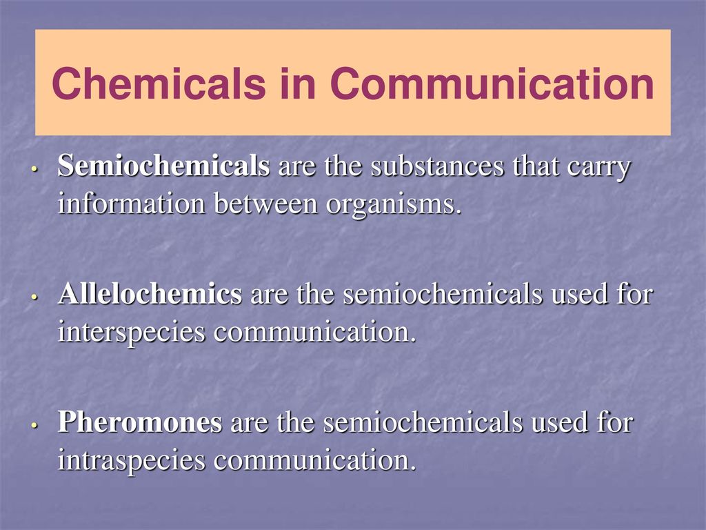EXAMS AND ME : Semiochemicals