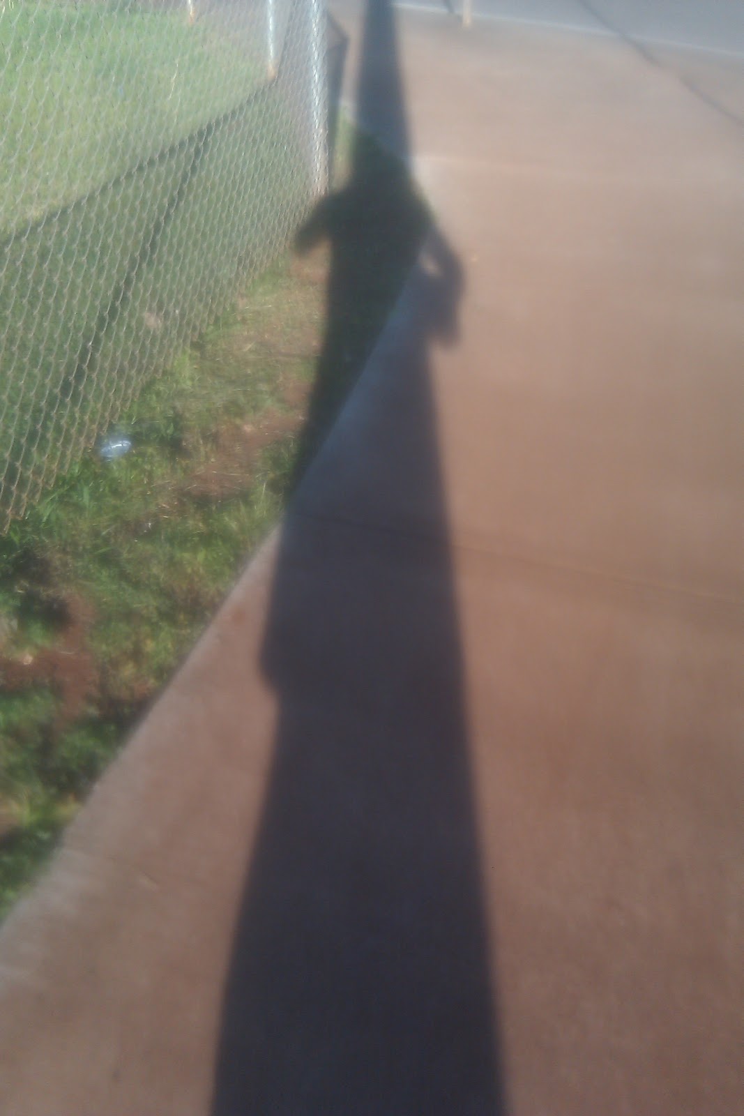 The Run Smiley Collective: Sweet Sweet Telephone Pole Shadow of Shady ...