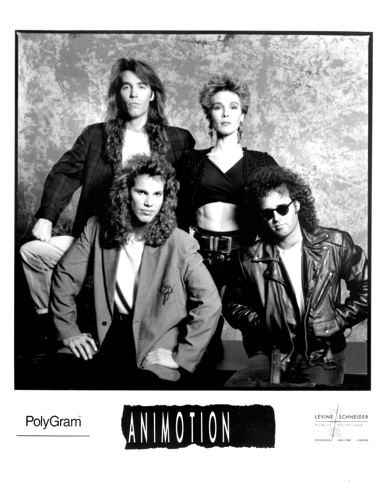 Lansure's Music Paraphernalia: ANIMOTION