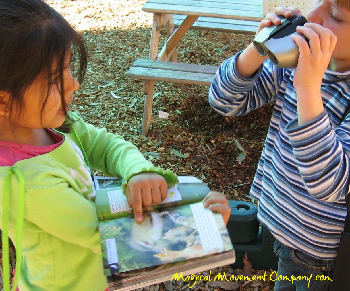 5 Steps to Bring the Outdoor Classroom to Your Preschool Playground ...