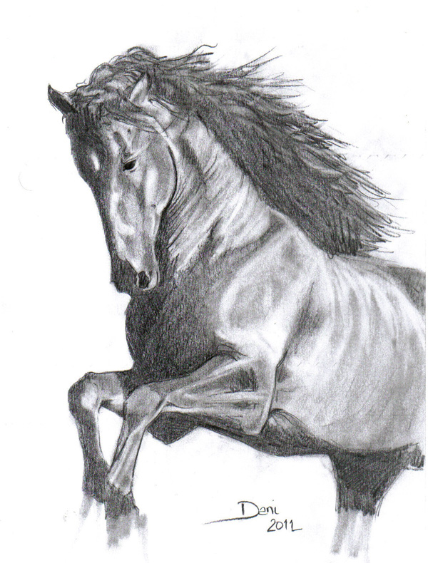 Bocetos de caballos - Imagui
