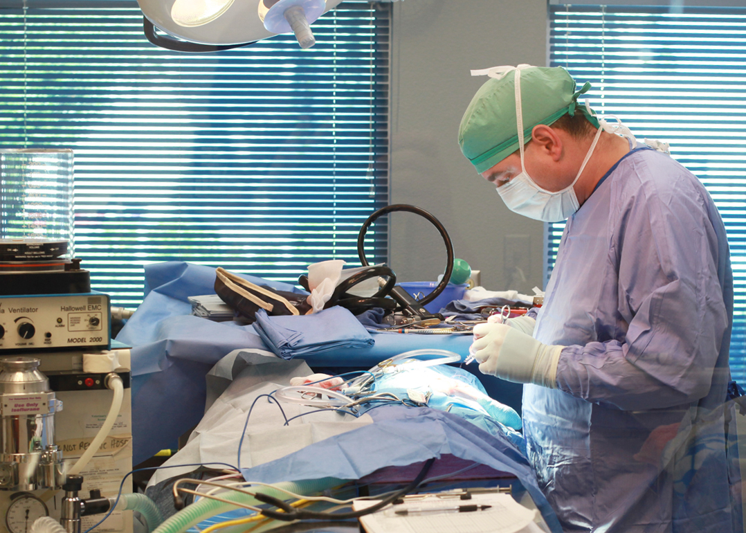 1st Pet Veterinary Centers Blog: Meet Dr. Daniel Guastella!