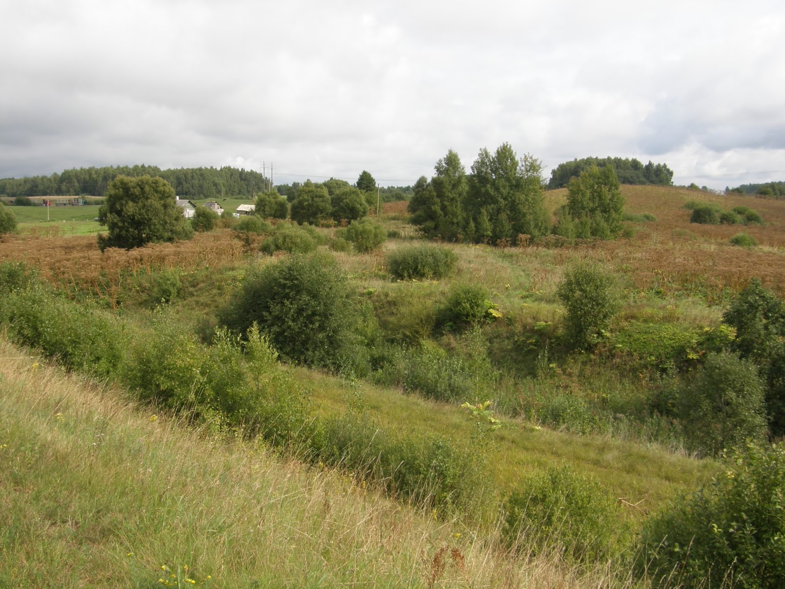 Antanas Algimantas Miškinis : ......kas gi valdo šalį : augalai ...