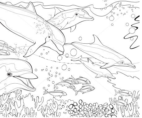 Imagini de colorat cu PESTI pentru copiii de gradinita - Bol cu Pesti ...