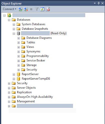 SQL Server database showing read only | Online Networks Solution