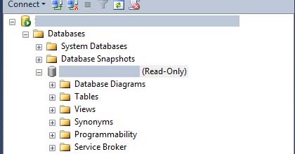 SQL Server database showing read only | Online Networks Solution