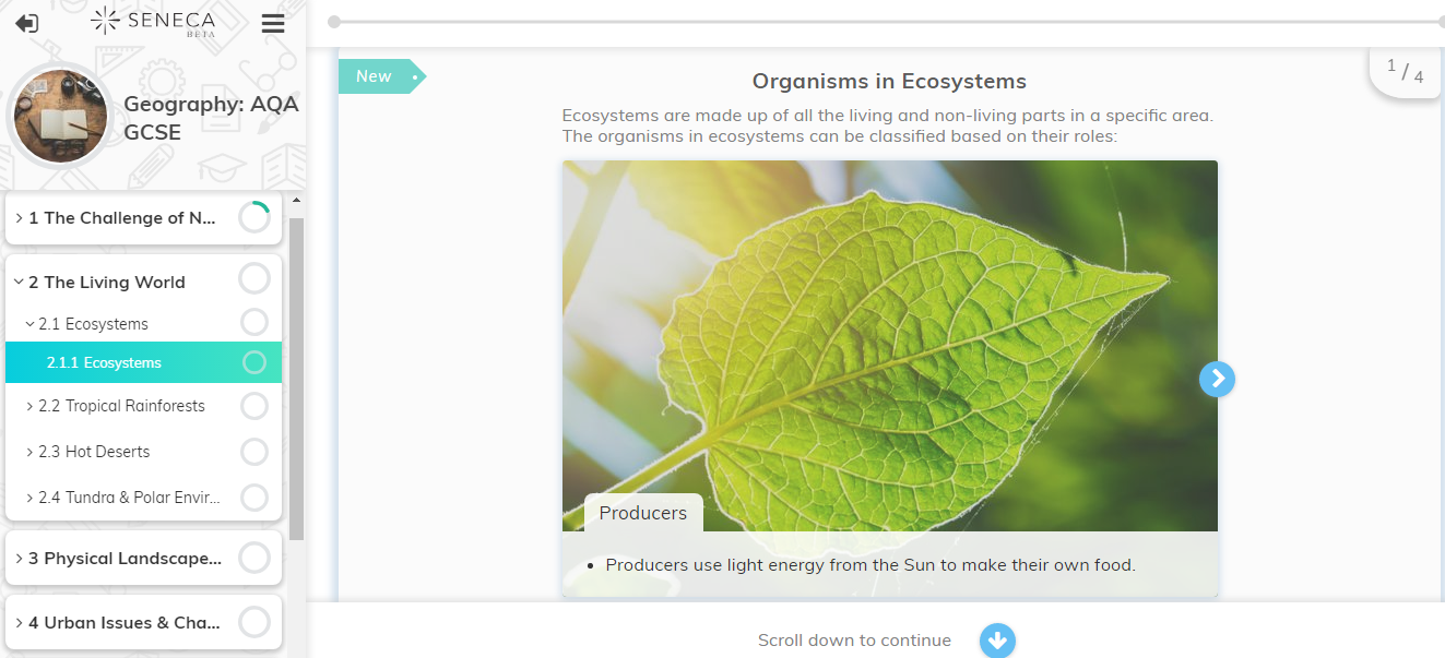 Life As Kim: This week my Word of the Week is: Helping. #WotW