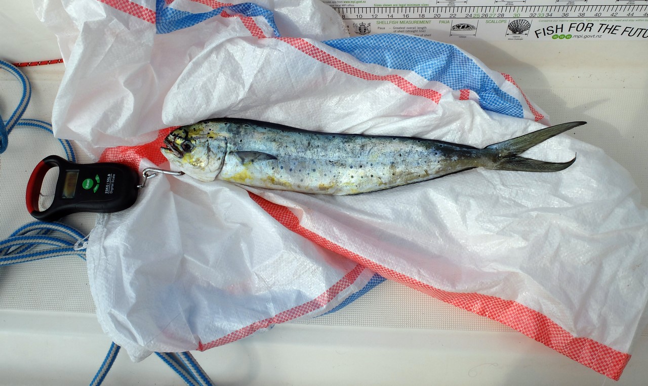 Sabay Dii: Pétole, vous avez dit pétole