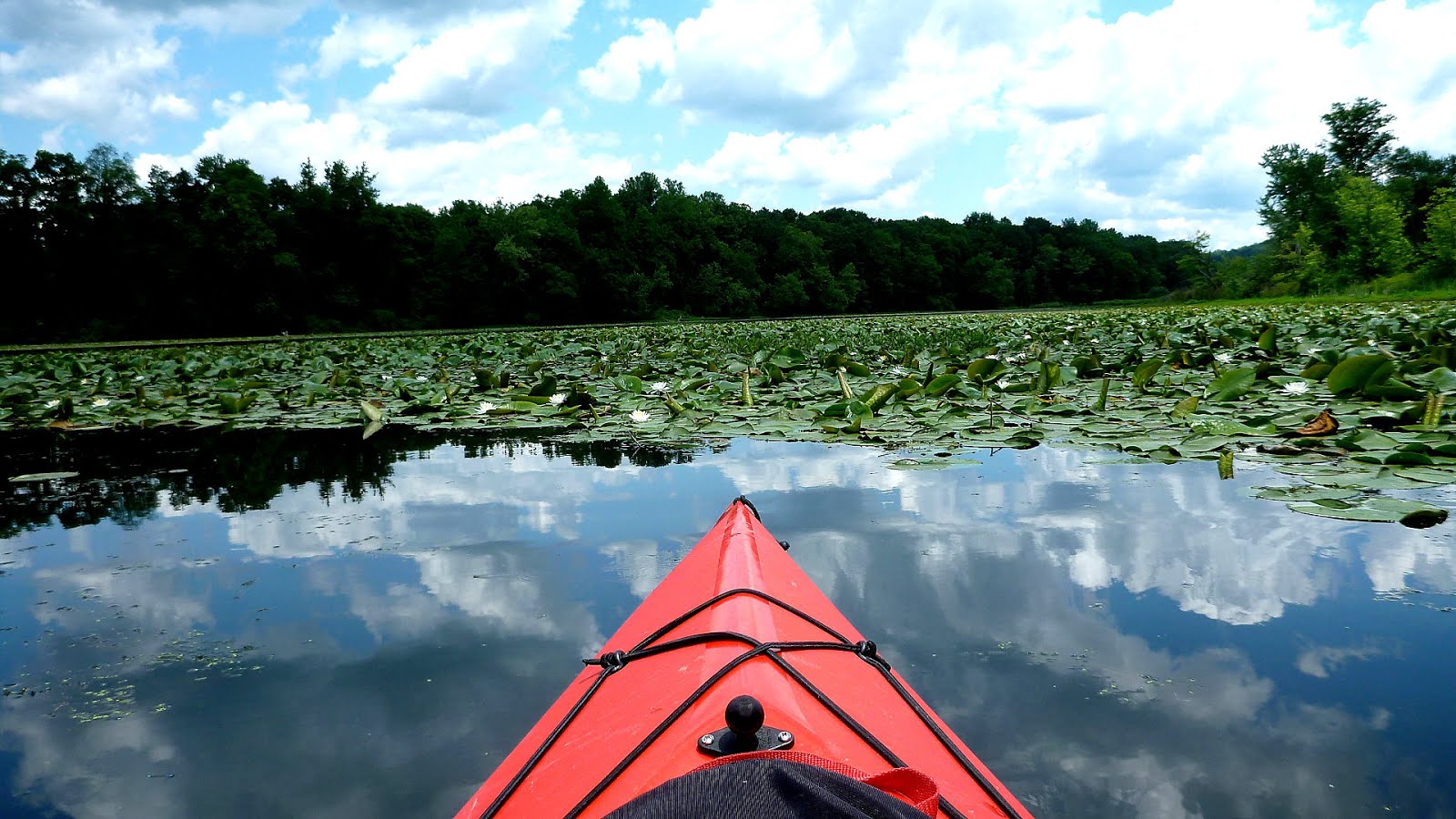 Paulinskill Lake Nj - Trip to Lake