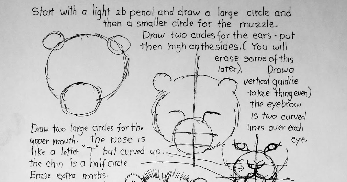 How to Draw Worksheets for The Young Artist: How To Draw A Lion's Face ...