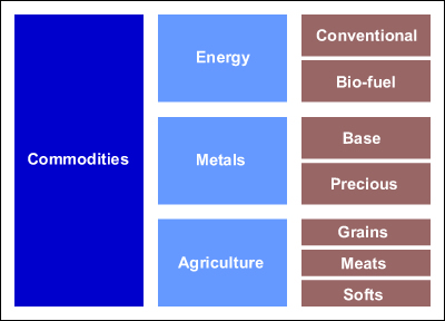 MCX Certified Commodity Professional: Basics of Commodity Trading . Day 2