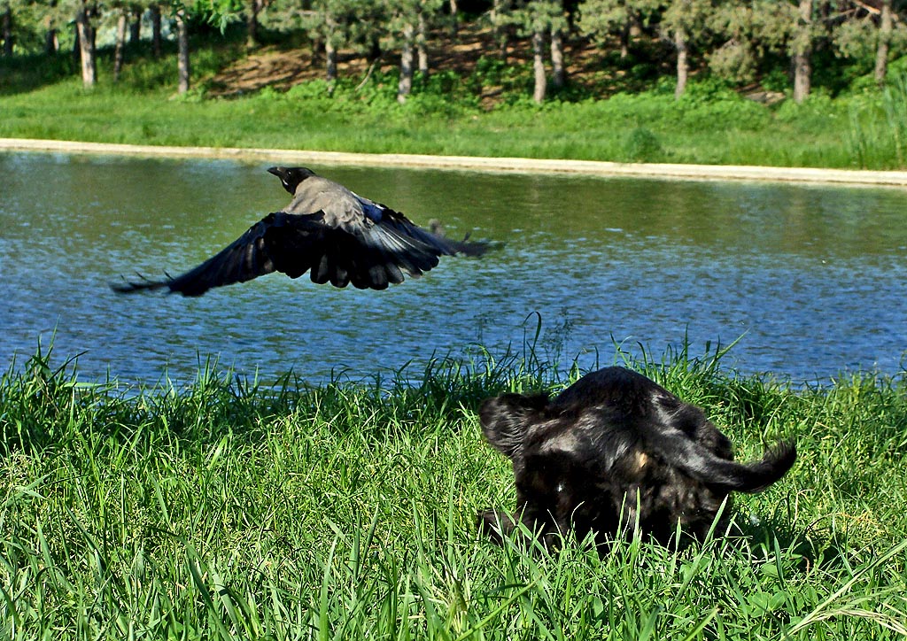 FOTOGRAFII DIN BUCURESTI: I.O.R. PARK PARCUL I.O.R.