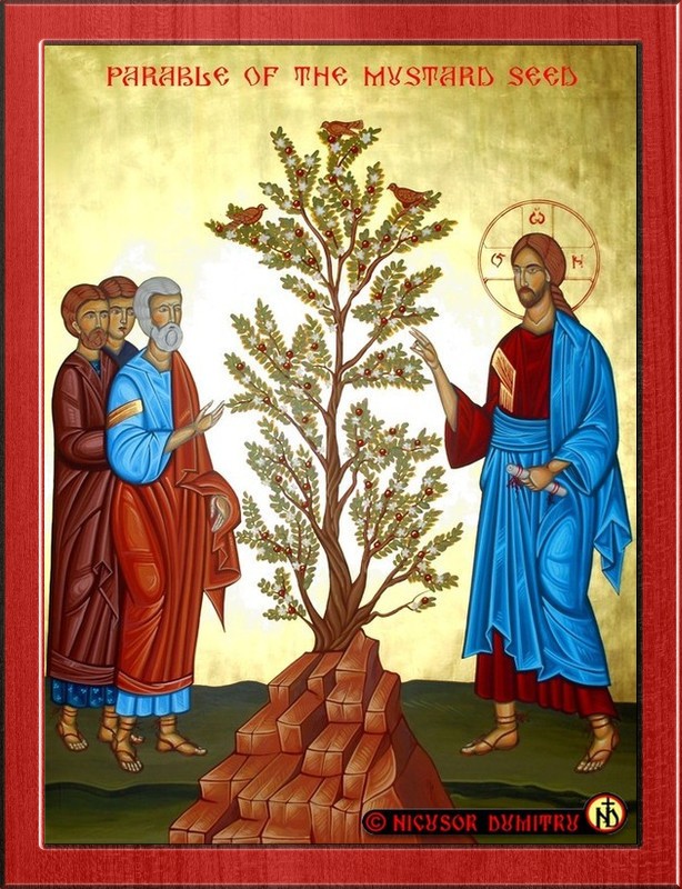 Sacerdotus: 11th Sunday in Ordinary Time - God the Botanist