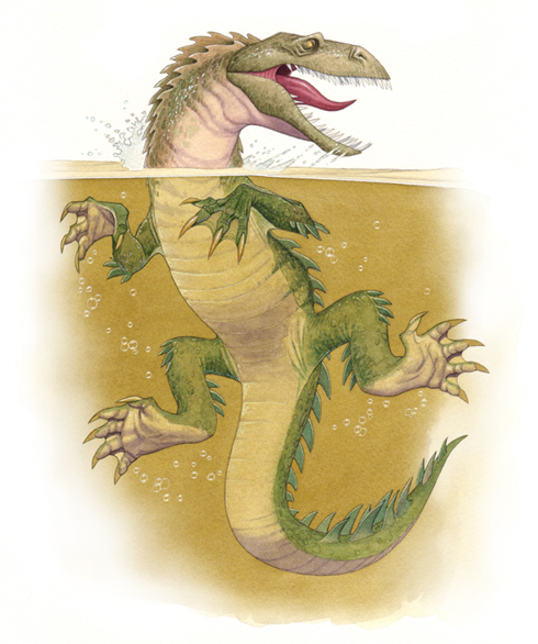 Graham Howells Illustrator