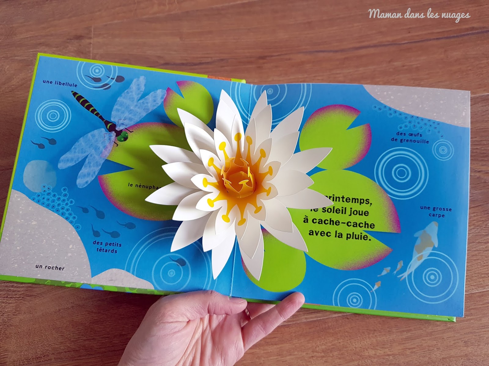 Maman dans les nuages: Le printemps est là ! {sélection de livres} {Et ...