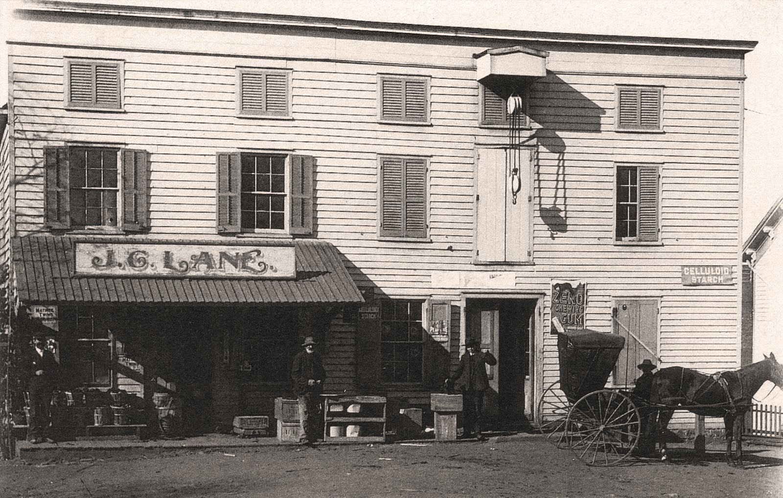 Gillette On Hillsborough: Andrew Lane - JC Lane Stores (1870 - 1918)