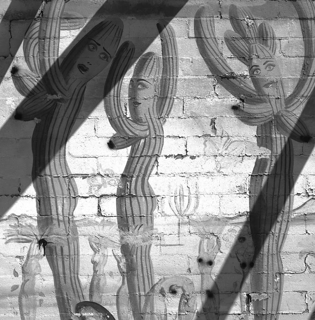 Weeds and Walls: Photography