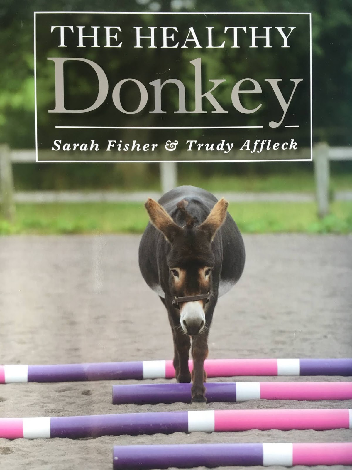 Donkeys, Donkey feet, More donkey stuff 🔍 - Bien-être et performance ...