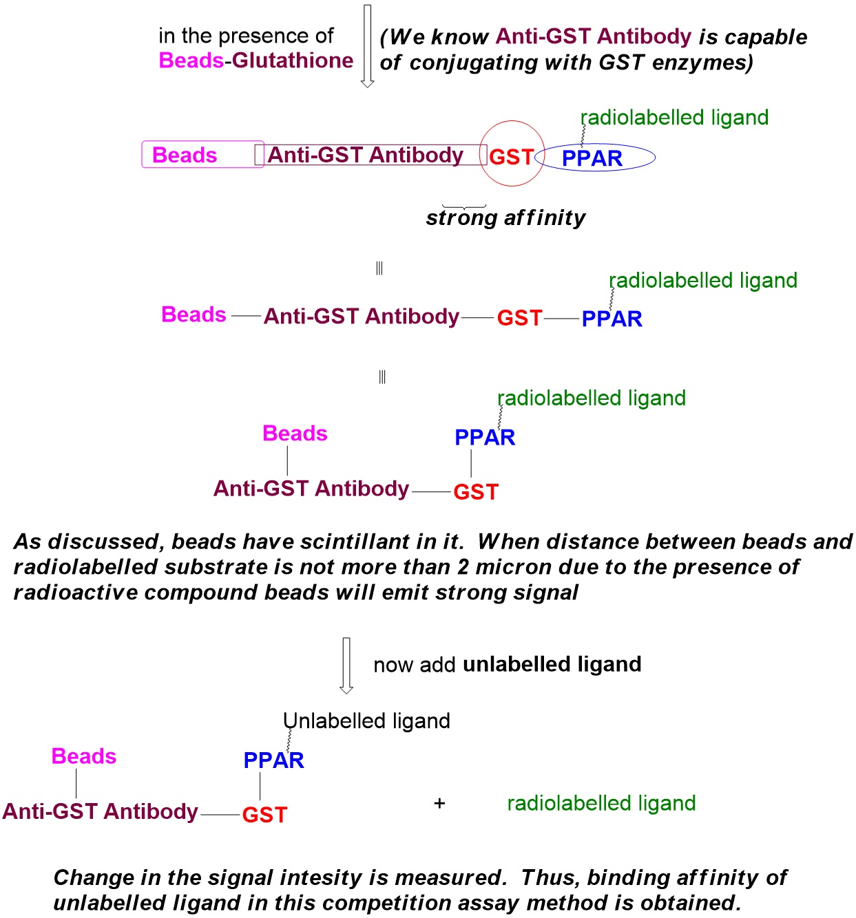 Medicinal Chemistry Basics (All you need to know): ENZYME / RECEPTOR ...