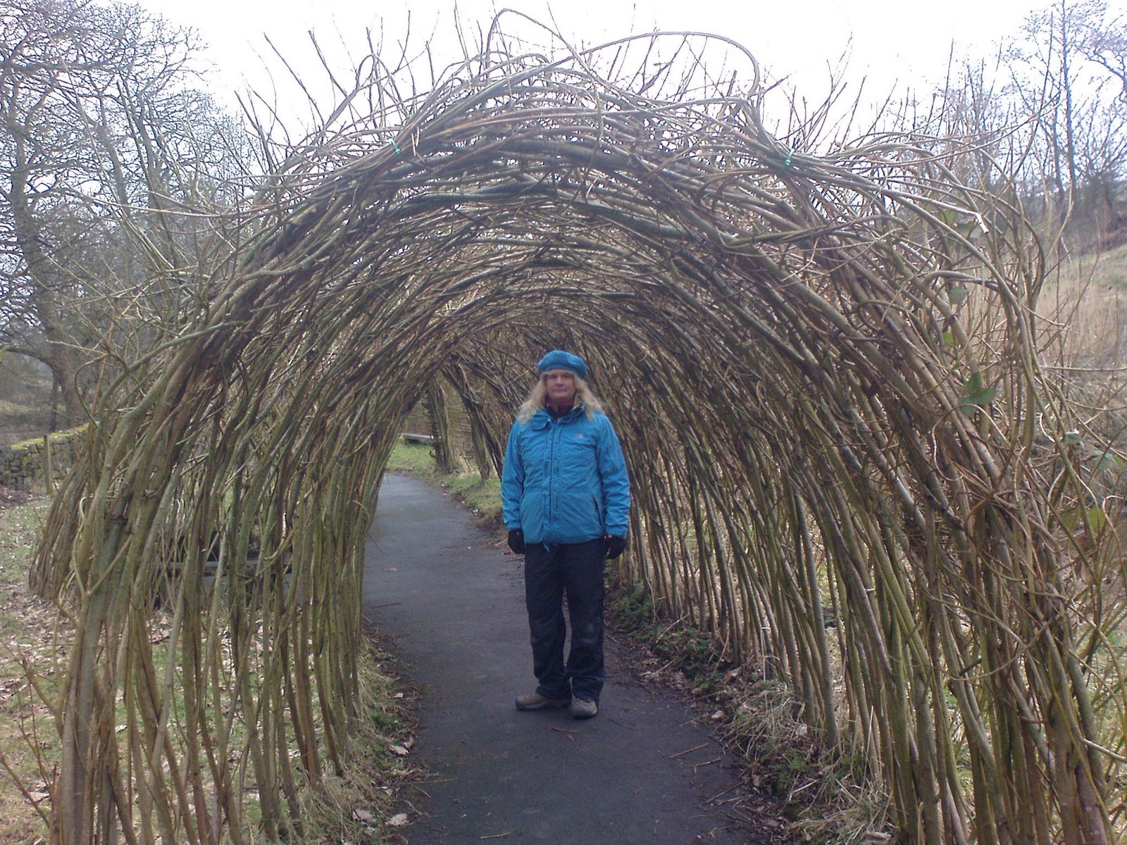 WILLOWPOOL HAPPENINGS: Living Willow Structures