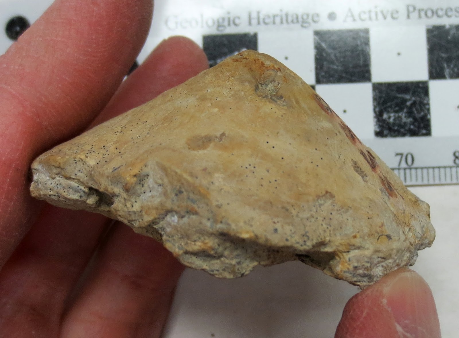 Equatorial Minnesota: Follow-up: Pipestone National Monument, Scenella ...