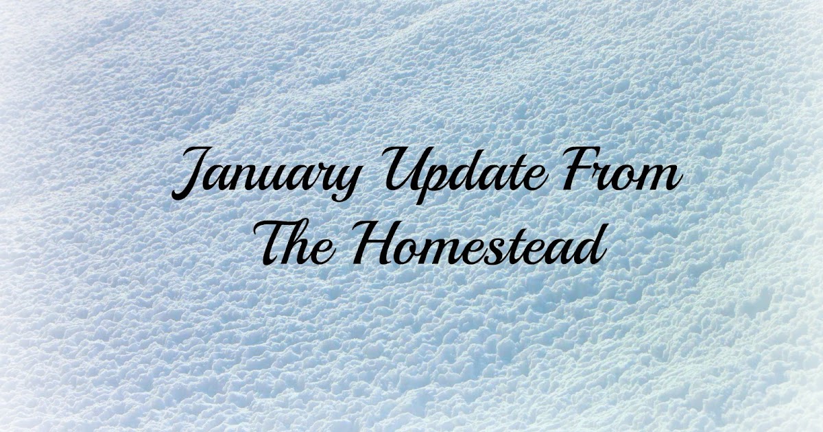 Monthly Update From The Homestead - January Edition (Goals, Life, Etc.)