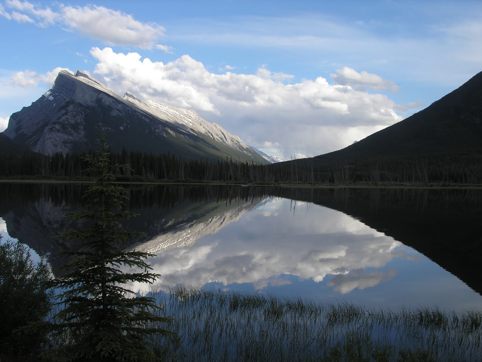 Sandra's Studio: Canadian Landscape