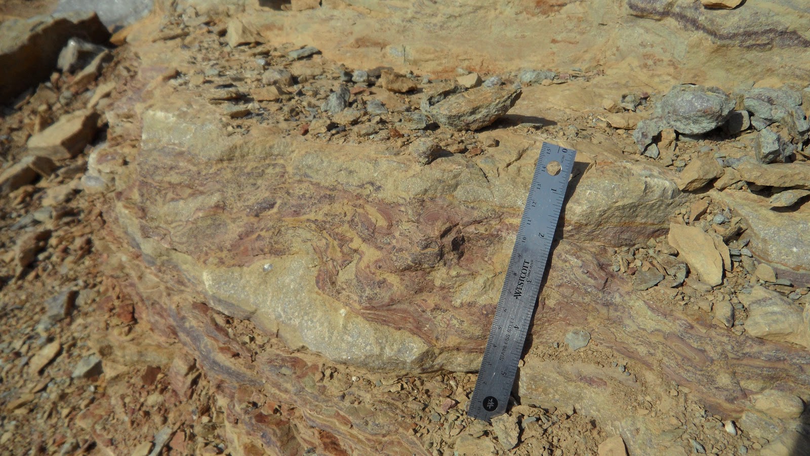 Fossils and Geology of Lanark County, Ontario: Mud cracks, Liesegang ...