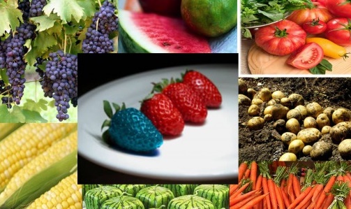 ALIMENTE CHIMICALE: Cele mai periculoase produse alimentare: fructe și ...