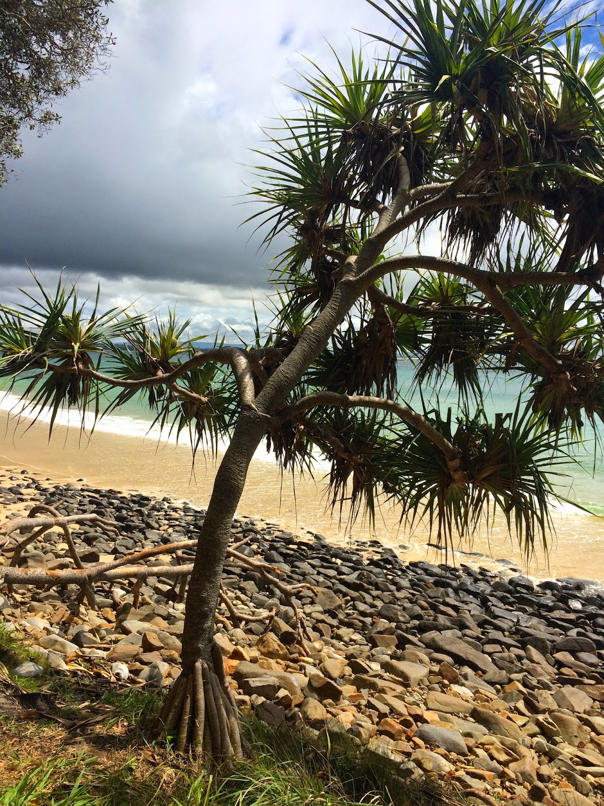 Life . . . Reframed: Noosa Life