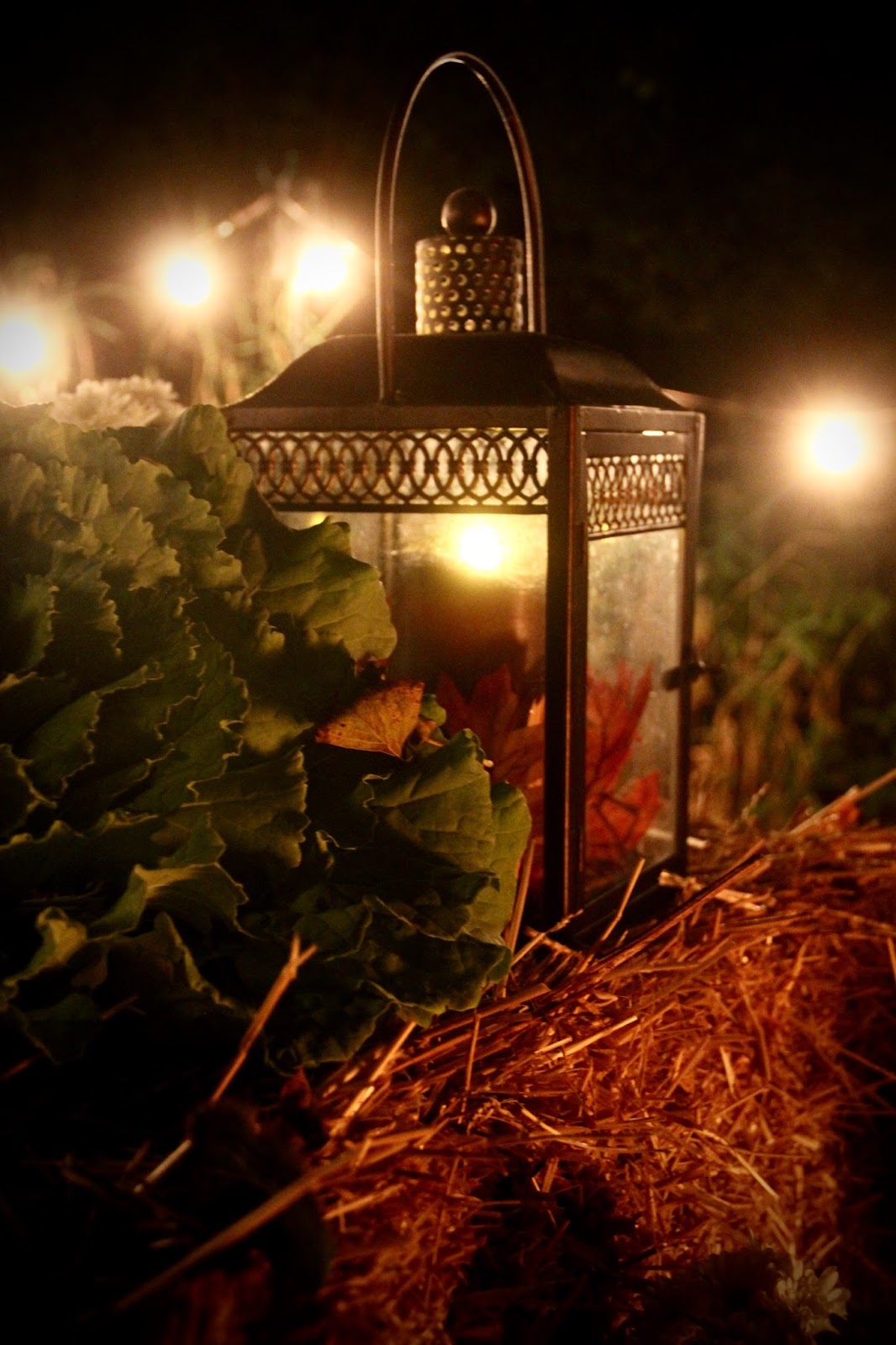 How To Create A Cozy Backyard Fall Fire Pit | The Yellow Cape Cod ...