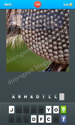 Zoomed In - Photo Word Game Level 148 ~ Doors Geek